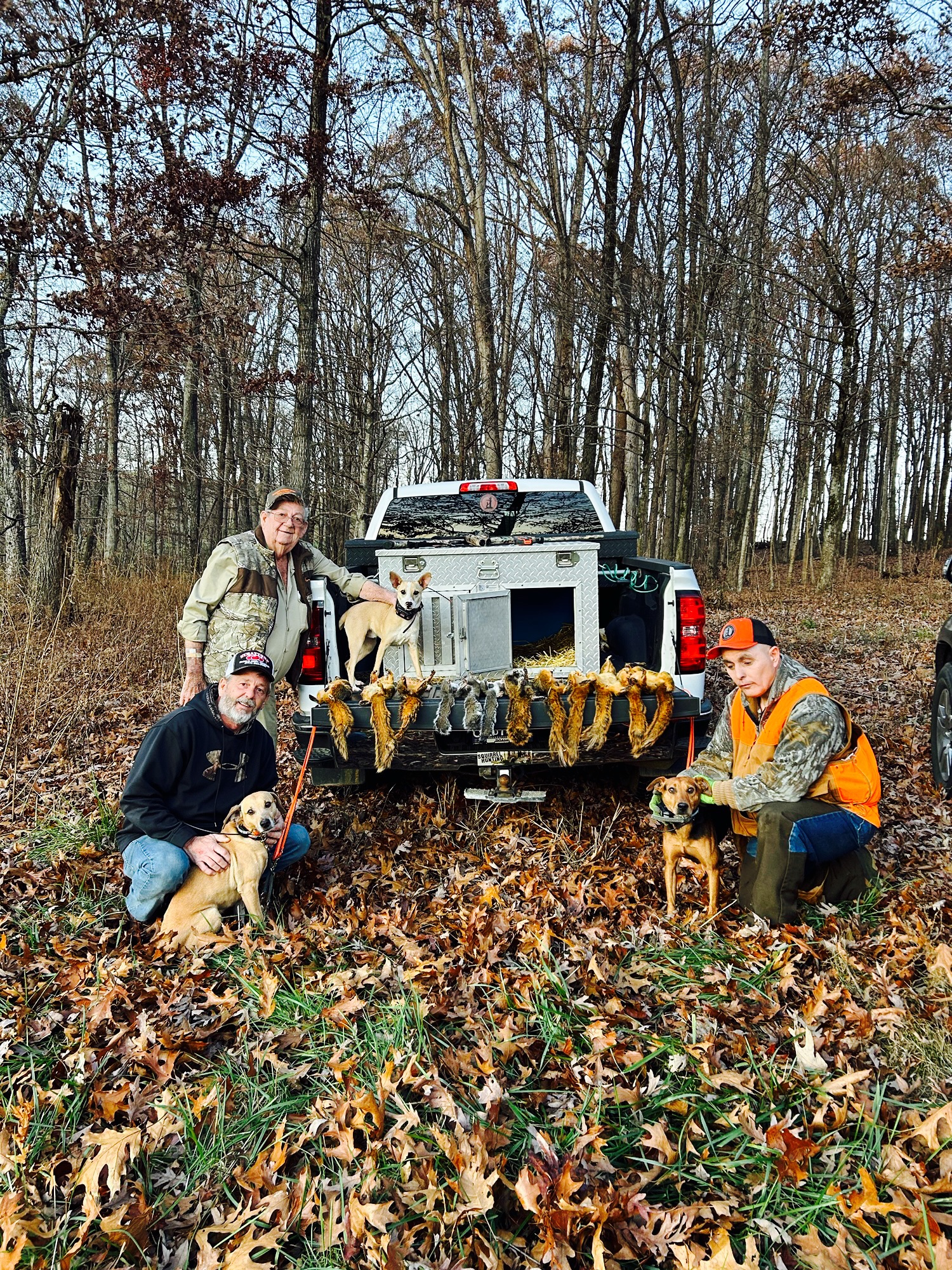 Thursday’s Hunt – Barger Stock Feist